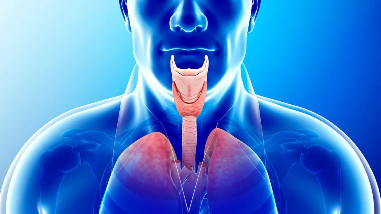 Nuova protesi epiglottidea interna al posto della cannula tracheostomica